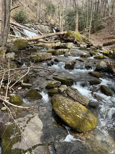 10 Best Hikes and Trails in Worthington State Forest | AllTrails