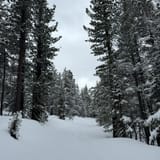 Hope Valley, California - 113 Reviews, Map | AllTrails