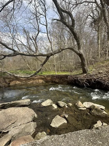 Best Walking Trails in Pennypack Park | AllTrails