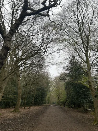 Best River Trails in Epping Forest | AllTrails