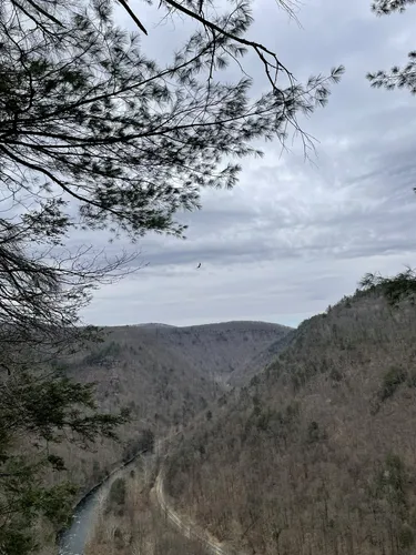 Best Hikes and Trails in Colton Point State Park | AllTrails