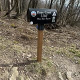 Hoye Crest (Backbone Mountain), West Virginia - 589 Reviews, Map ...