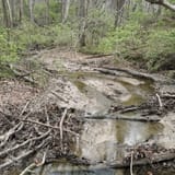 SIUE Nature Preserve Loop, Illinois - 732 Reviews, Map | AllTrails