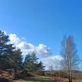 Liss Forest Circular, Hampshire, England - 129 Reviews, Map | AllTrails