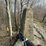 Hoye Crest (Backbone Mountain), West Virginia - 589 Reviews, Map ...