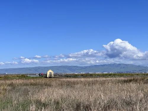 Best Hikes and Trails in Alviso Marina County Park | AllTrails