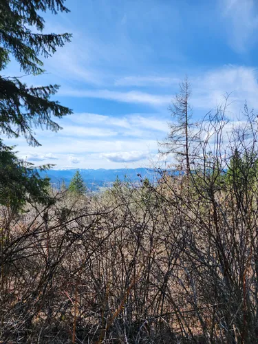 Best Hikes and Trails in Colville | AllTrails