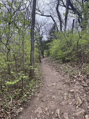 Best Short Trails in Shawnee Mission Park | AllTrails