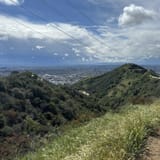 Runyon Canyon Trail, California - 8,064 Reviews, Map | AllTrails