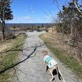 Halibut Point Trail, Massachusetts - 1,373 Reviews, Map | AllTrails