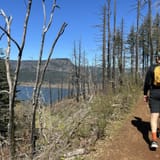 Oneonta Trail and Gorge Trail (Short Option), Oregon - 749 Reviews, Map ...