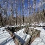 Red Hill Fire Tower Loop Trail, New Hampshire - 1,371 Reviews, Map ...