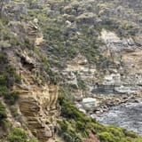 Shipsterns Bluff Loop, Tasmania, Australia - 81 Reviews, Map | AllTrails