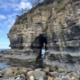 Shipsterns Bluff Loop, Tasmania, Australia - 81 Reviews, Map | AllTrails