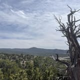 Carlito Springs Loop, New Mexico - 462 Reviews, Map | AllTrails