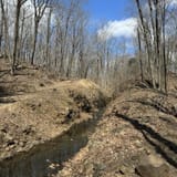 Giuffrida Park Loop, Connecticut - 1,627 Reviews, Map | AllTrails