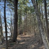 Giuffrida Park Loop, Connecticut - 1,627 Reviews, Map | AllTrails
