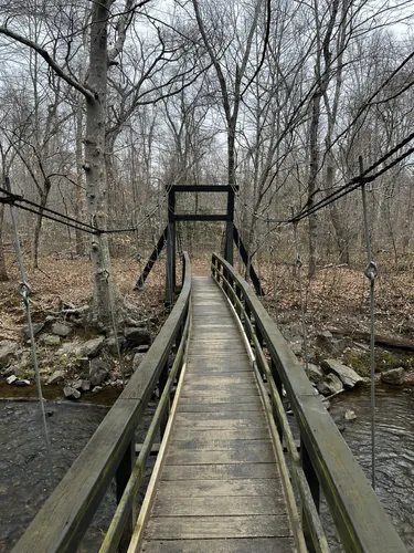 Best Wheelchair Friendly Trails in Prince William National Forest Park ...