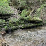 Mossy Ridge Trail Loop, Tennessee - 971 Reviews, Map | AllTrails