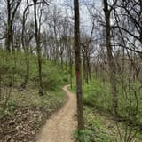 Mossy Ridge Trail Loop, Tennessee - 1,077 Reviews, Map | AllTrails