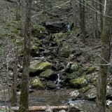 Emory Gap Falls Trail, Tennessee - 853 Reviews, Map | AllTrails