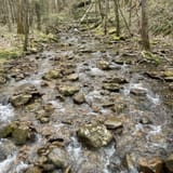 Emory Gap Falls Trail, Tennessee - 934 Reviews, Map | AllTrails