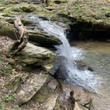 Emory Gap Falls Trail, Tennessee - 871 Reviews, Map | AllTrails