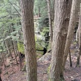 Gorge Overlook Loop via Buckeye Trail, Ohio - 2,940 Reviews, Map ...