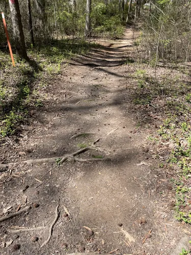 The Preserve at Robbins Park: Die besten Routen zum Wandern | AllTrails