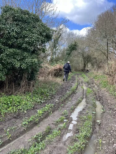 Best Hikes and Trails in Abbot's Wood | AllTrails