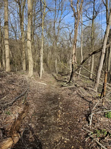 Best Hikes and Trails in Middle Run Valley Park | AllTrails