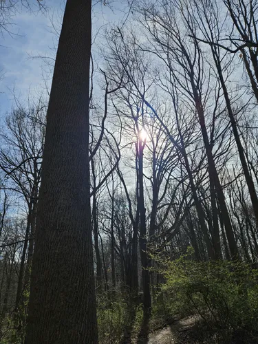 Best Hikes and Trails in Middle Run Valley Park | AllTrails