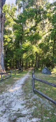 Best Backpacking Trails in Withlacoochee State Forest | AllTrails