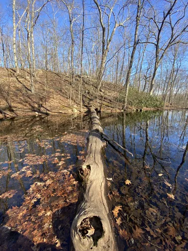 Best Hikes and Trails in Whipple Hill Conservation Lands | AllTrails