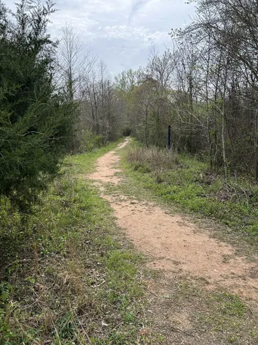 Best Walking Trails in Anderson | AllTrails