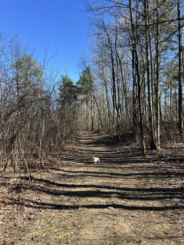 Best Hikes and Trails in Colonie | AllTrails