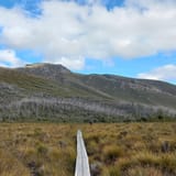 Lake Judd Trail, Tasmania, Australia - 41 Reviews, Map | AllTrails