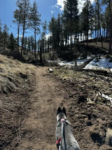 Best Views Trails in Pine Valley Ranch Park | AllTrails