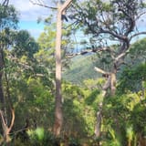 Mount Larcom Walking Trail, Queensland, Australia - 253 Reviews, Map ...