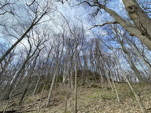 Best Hikes and Trails in Shellenbarger Preserve | AllTrails