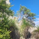 Mount Larcom Walking Trail, Queensland, Australia - 253 Reviews, Map ...