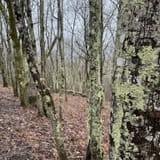 Max Patch Loop, North Carolina - 2,171 Reviews, Map | AllTrails