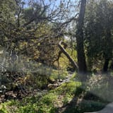 Hollyridge Trail to Hollywood Sign Viewpoint, California - 5,128 ...