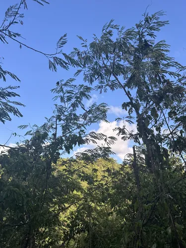 Best Hikes and Trails in Kingshill | AllTrails