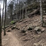 Blowing Springs Park Extended Loop, Arkansas - 1,672 Reviews, Map ...
