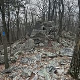 White Rocks Trail, Pennsylvania - 1,782 Reviews, Map | AllTrails