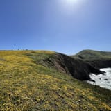 Mori Point Loop Trail, California - 4,941 Reviews, Map | AllTrails