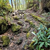 Bad Branch Trail, Kentucky - 192 Reviews, Map | AllTrails