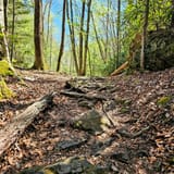 Bad Branch Trail, Kentucky - 192 Reviews, Map | AllTrails