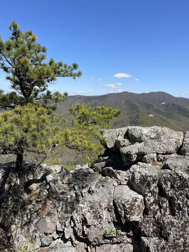 Best Forest Trails in Crimora | AllTrails